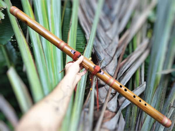 Flauta Céu & Terra - Flauta Nativa Dupla Bastão - F | Flauta Nativa Ashar